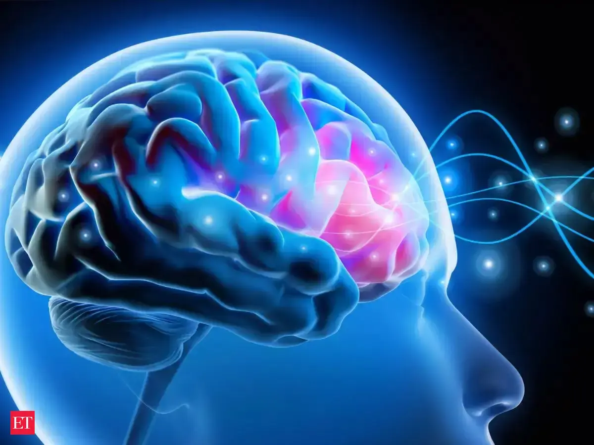 Fast brain wins: brisk walking or cycling - 5 best brain workouts to ...