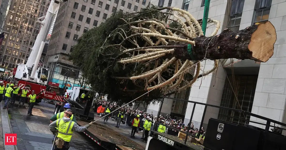 rockefeller christmas tree 2025: Rockefeller Center’s 2025 Christmas ...