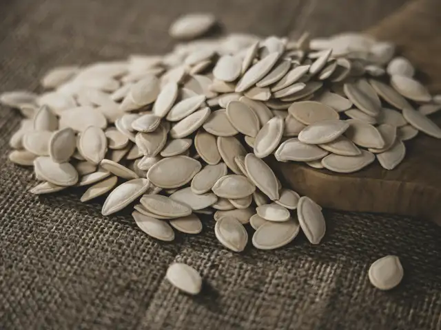 How to Eat Seeds the Right Way: A Guide by Dr. Saurabh Sethi - A gut ...