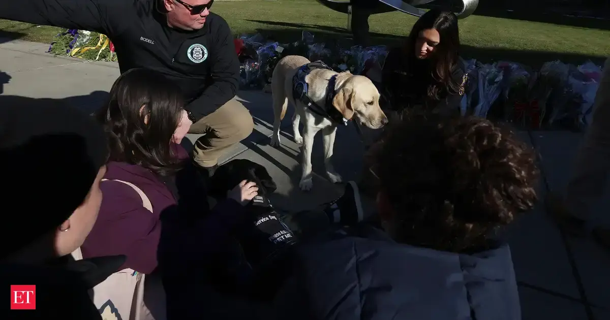 Police investigate possible link between Brown University shooting and ...