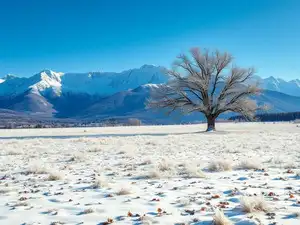 when is first day of winter: First day of winter 2025: Date, time, and ...