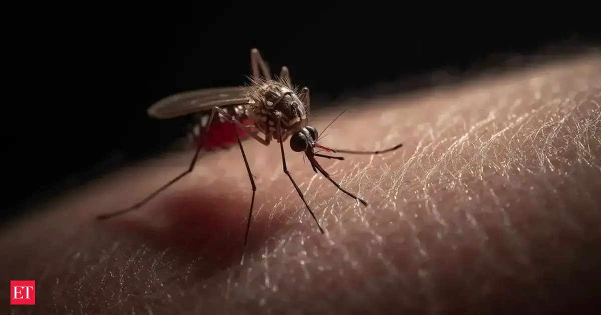IIT Delhi develops washing powder that turn clothes into mosquito ...