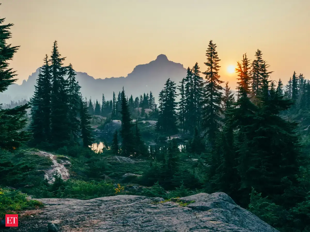 This Long Weekend, Choose Nature Over Crowds - Wild Escape | The ...