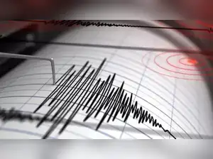 6.0-magnitude earthquake hits Taiwan: USGS - The Economic Times