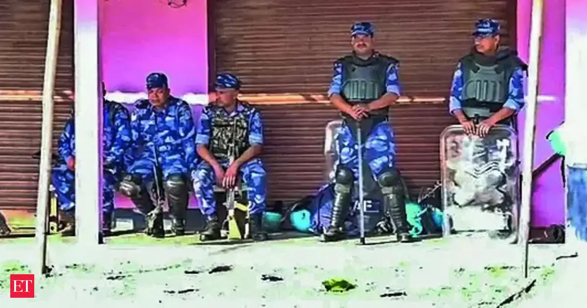 Assam violence leaves 173 security personnel injured - The Economic Times