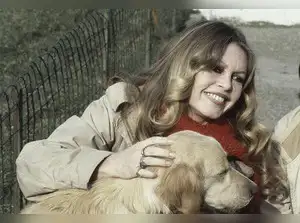 brigitte bardot: Who was Brigitte Bardot? The French screen icon who ...