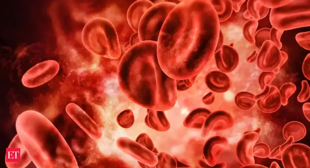 6 superfoods that support healthy blood levels - Blood health matters ...