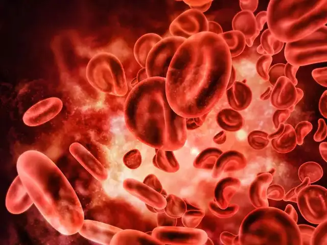 6 superfoods that support healthy blood levels - Blood health matters ...
