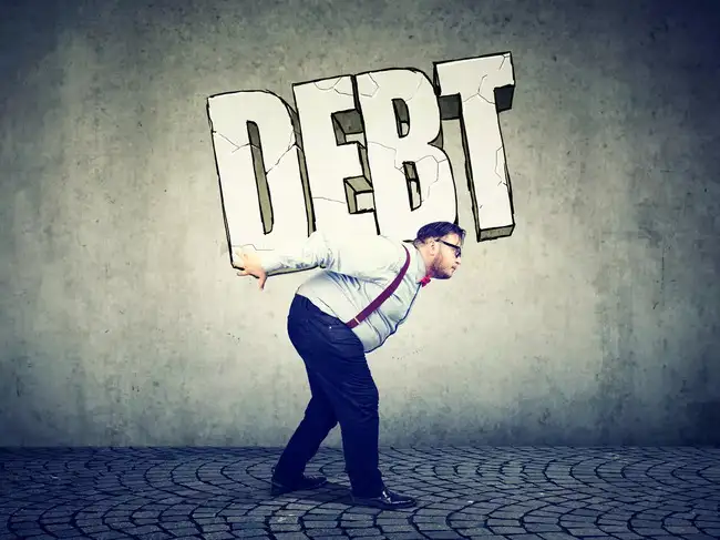 How a Rs 1.75 crore loan turned into Rs 147 crore debt and cost a ...