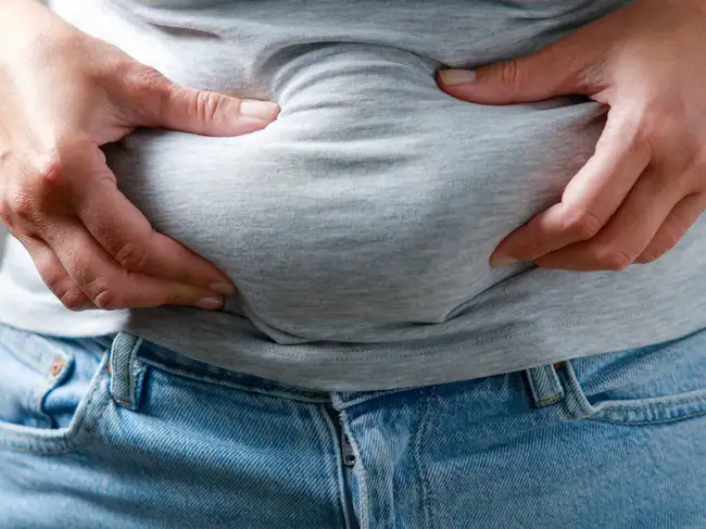 Fat is not your enemy: Science reveals why understanding body fat ...