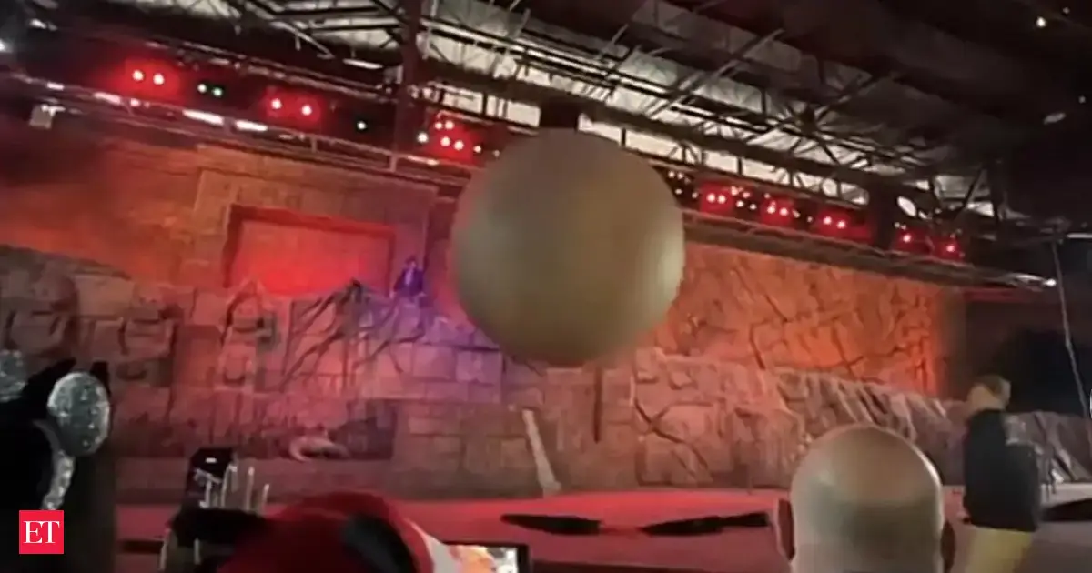 Watch video: Disney cast member hurt protecting guests from 400-pound ...