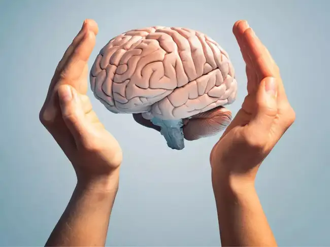 Your brain might become smaller because of a common daily habit: 3 easy ...