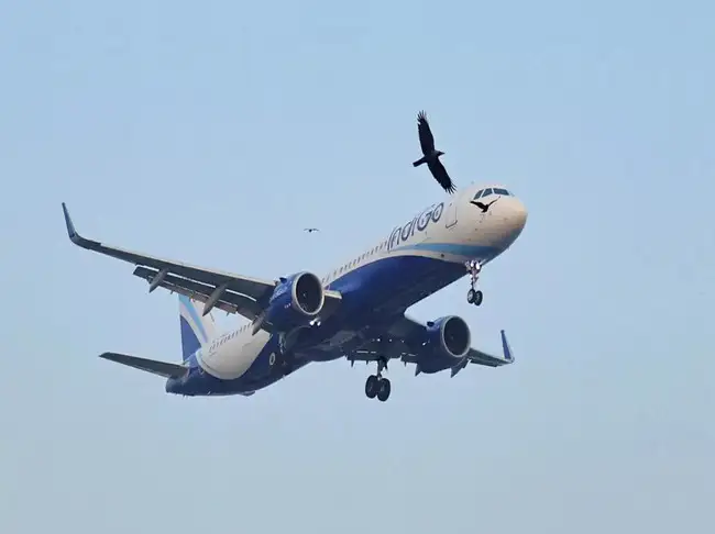 Flight rule change: Use of power banks for in-flight charging barred by ...