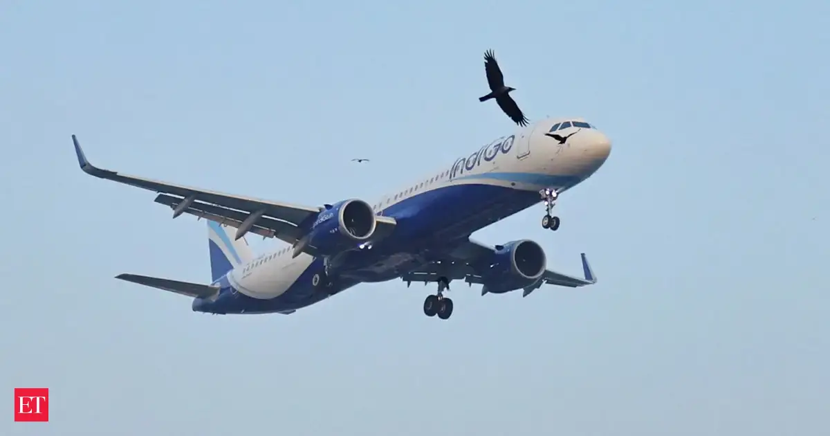 IndiGo flight makes emergency landing in Varanasi after bird hit - The ...