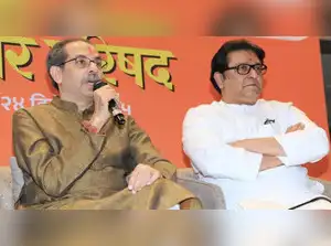 Poll pact fails to work for Thackerays but show in BMC bastions allows ...