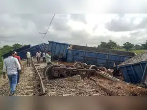 Freight train derails after bulls come on tracks in Uttar Pradesh - The ...