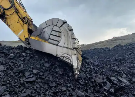 BCCL Share Price Live: Bharat Coking Coal shares fall 6% amid profit ...