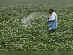 Budget 2026: Fertiliser industry seeks duty cuts, subsidy reforms - The ...
