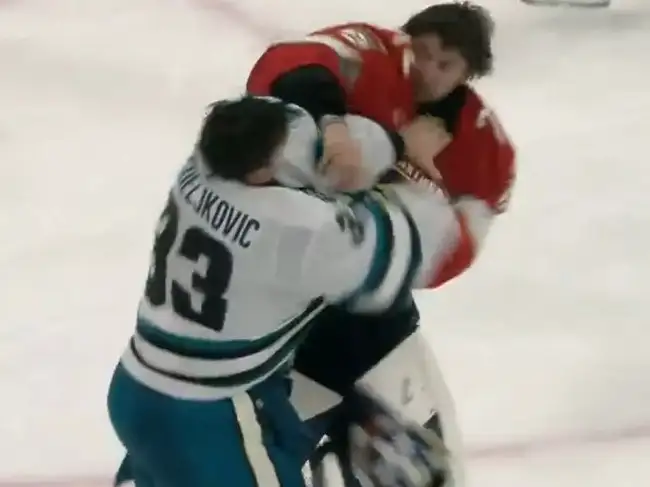 Watch: Bobrovsky-Nedeljkovic fight video goes viral as goalies trade ...