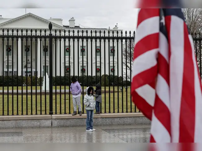 ‘Embrace the penguin’: How a White House posted meme went viral ...