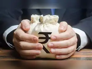 Eco Survey 2026: Budget 2025-26 measures expand guaranteed credit for ...