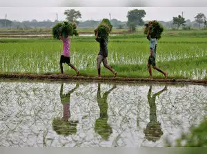 Agriculture sector faces climate, water challenges despite growth ...