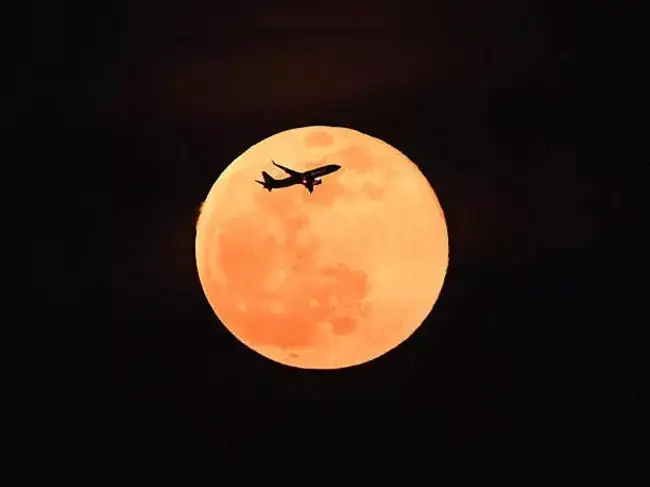 February Full Moon horoscope: February Full Moon in Leo to shake up ...