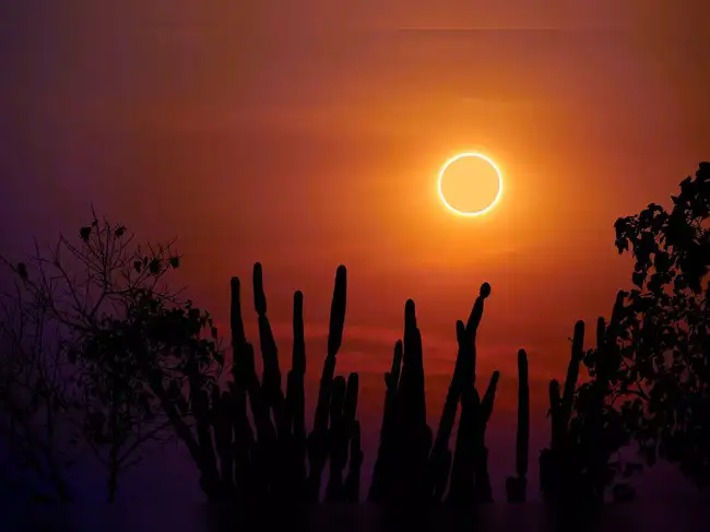 Solar Eclipse on February 17, 2026: Will the annular ‘ring of fire’ be ...