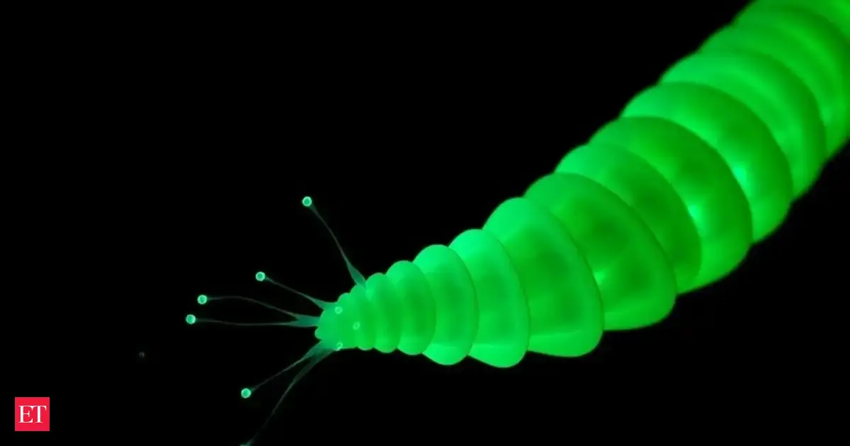 Bioluminescent Deep-Sea Worm Glows Neon Green, Scientists Reveal the ...