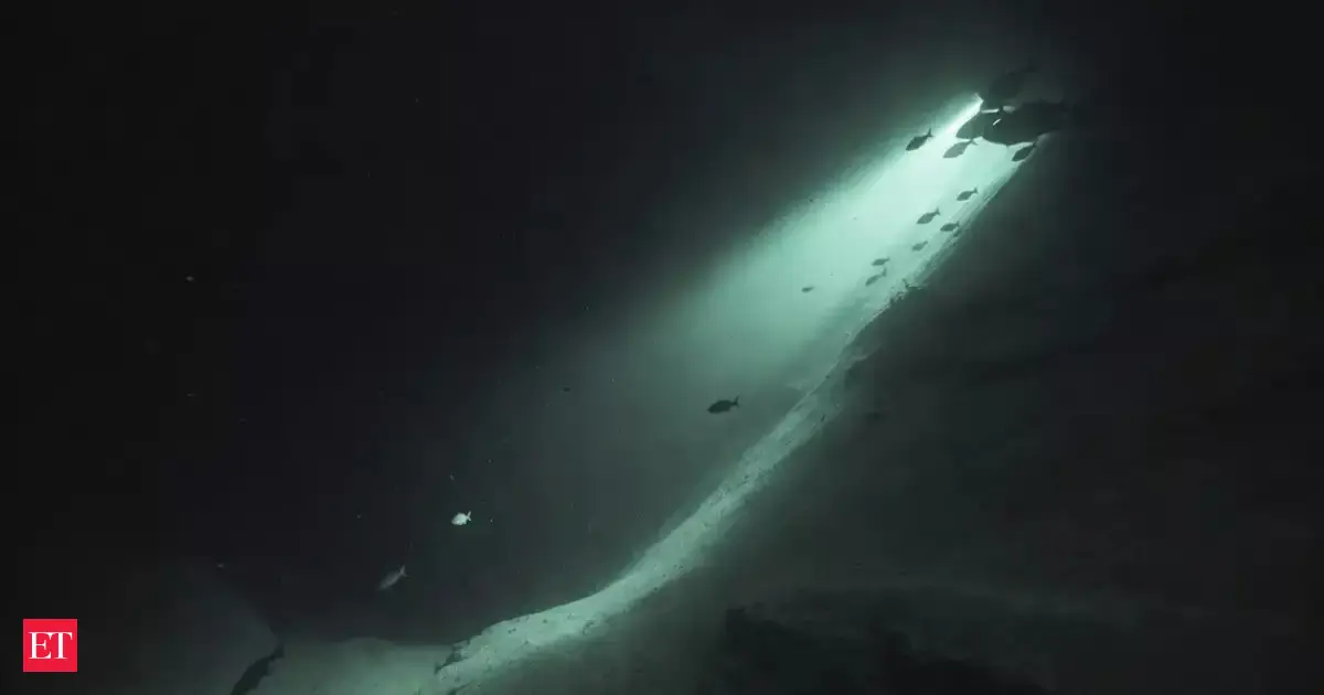 Pseudoliparis Swirei: How the Deepest Fish Ever Recorded Survives ...