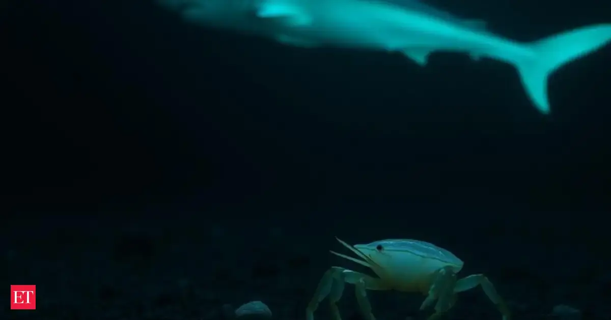 Scientists Find a Glowing Deep-Sea Creature Living on Another Animal ...