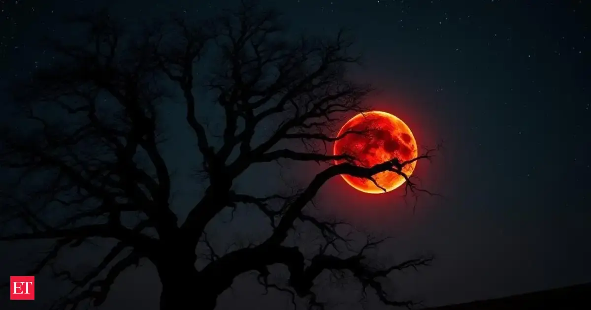 Total Lunar Eclipse 2026: When can you see the Total Lunar Eclipse ...