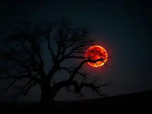 Total Lunar Eclipse 2026: When can you see the Total Lunar Eclipse ...