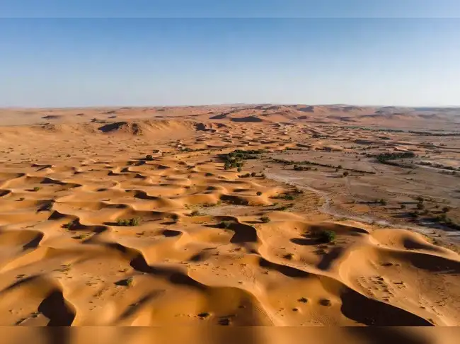 Why Parts of the Sahara Suddenly Turned Green: Here’s What Happened ...