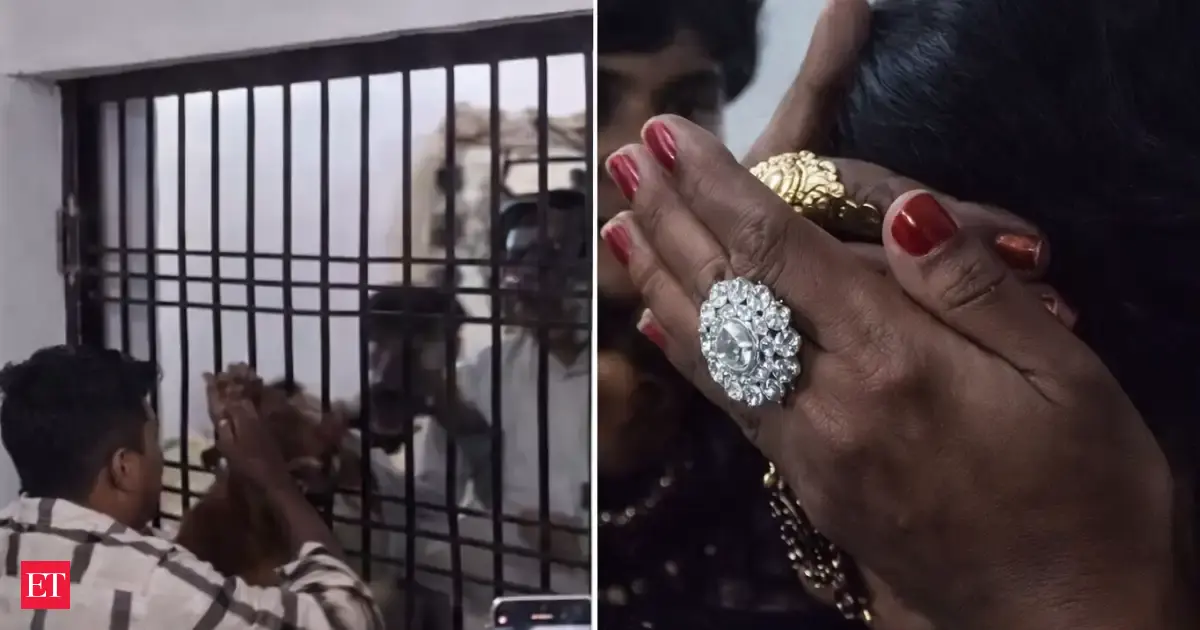 ndtv: UP wedding turns into bloody clash after bride’s pet dog sparks ...