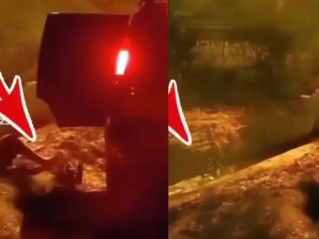Viral video shows girl being thrown into drain after late-night party ...