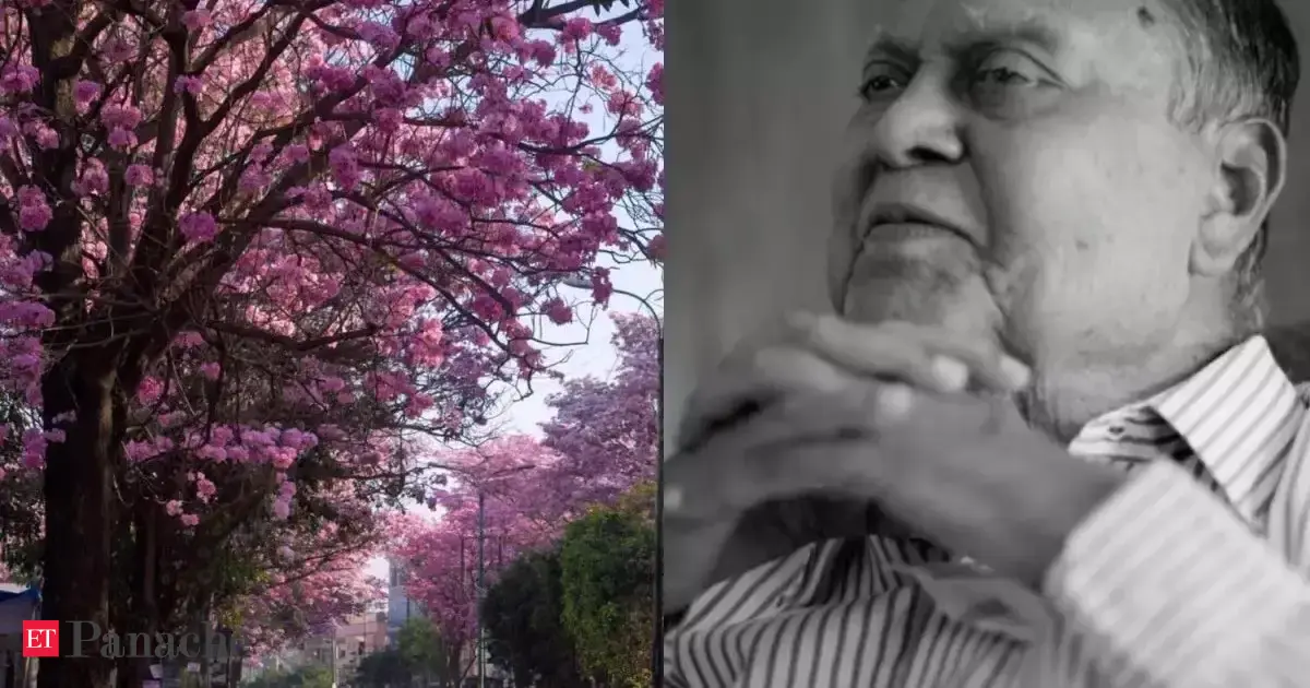 Meet the man who is credited with turning Bengaluru into a pink ...