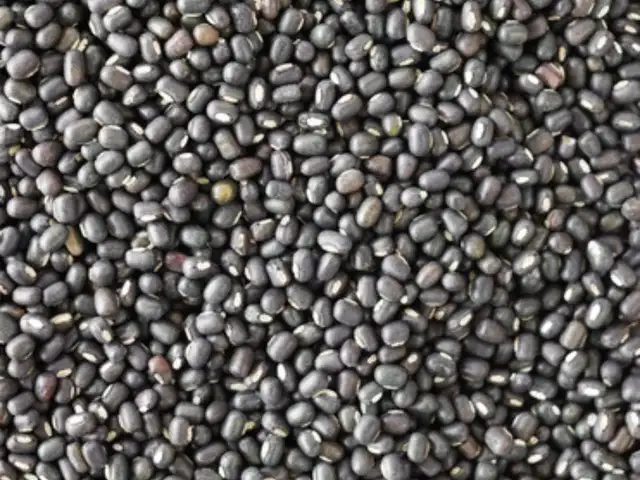 Black Urad Dal (The Muscle Builder) - 7 high-protein Indian foods that ...