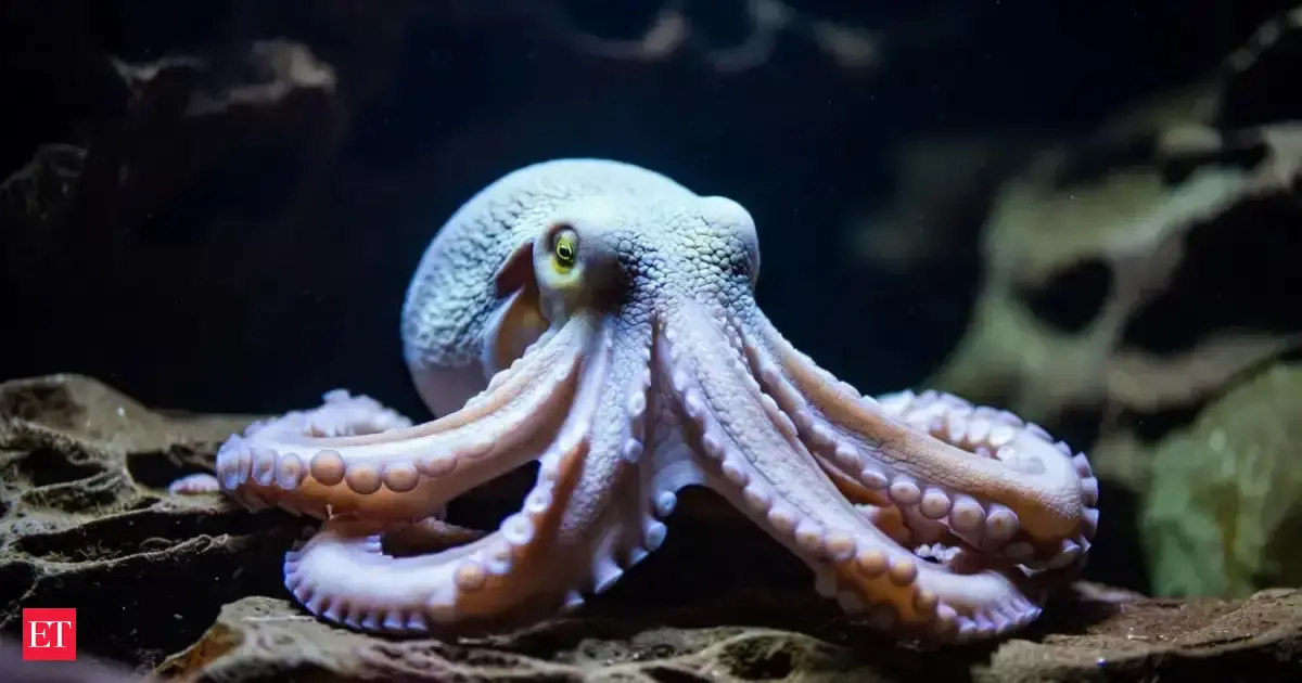 The Animal That Edits Its Own Genes After They’re Written - The ...