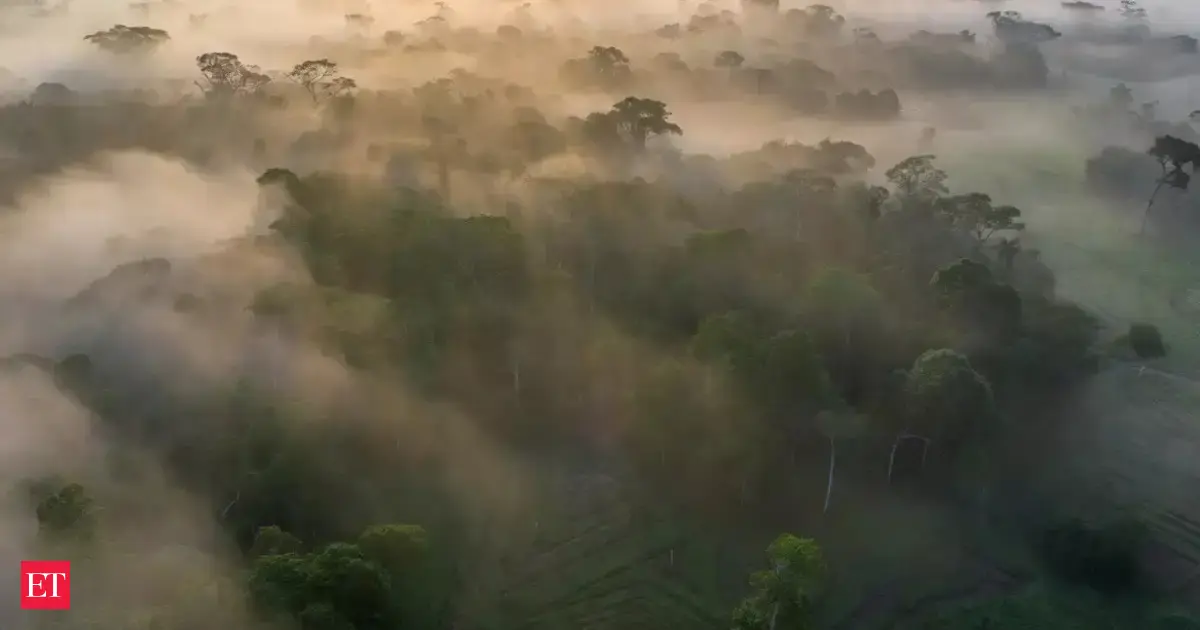 A Lost Civilization Under the Rainforest? LiDAR Is Rewriting Amazon ...
