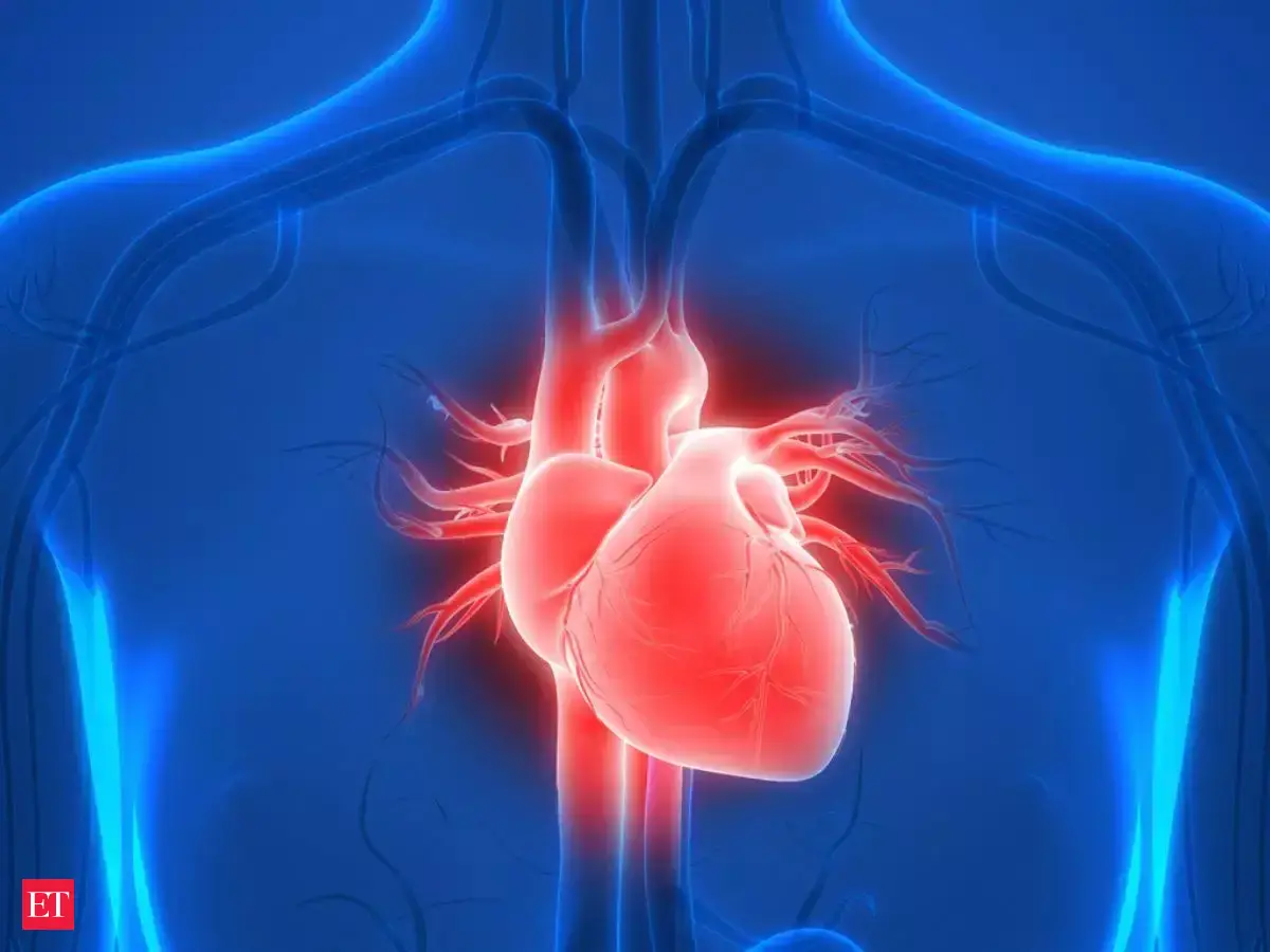 6 foods to improve heart health and longevity naturally - Heart ...