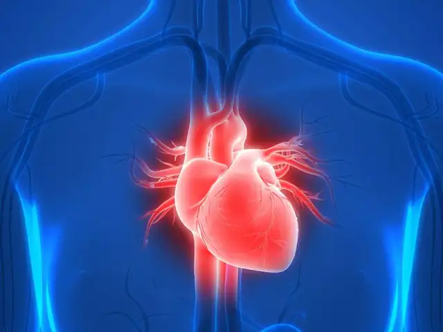 6 foods to improve heart health and longevity naturally - Heart ...