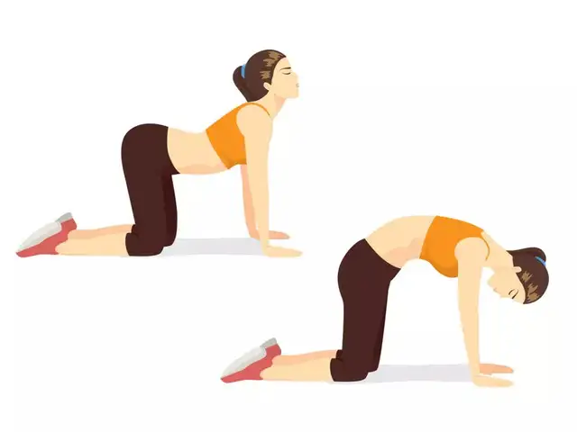 7 easy exercises for stronger, more flexible back - Spinal Health and ...