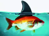 What is Mou? Definition of Mou, Mou Meaning - The Economic Times