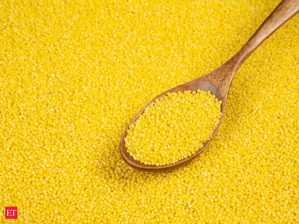 6 simple millet lunch box recipes for stable energy during workdays ...