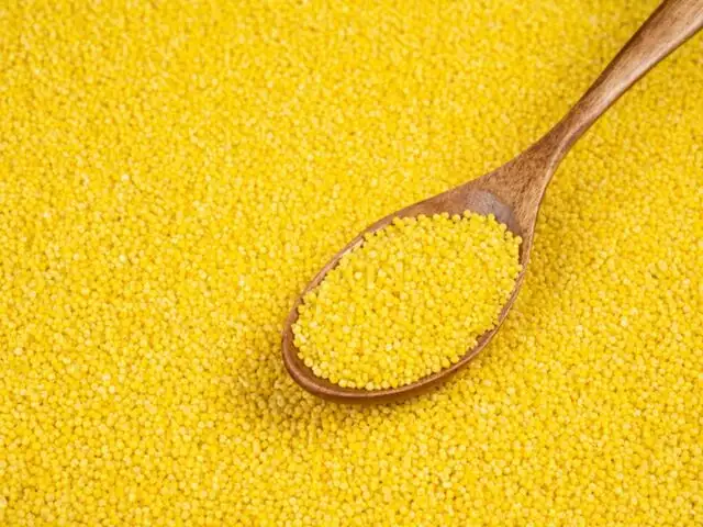 6 simple millet lunch box recipes for stable energy during workdays ...