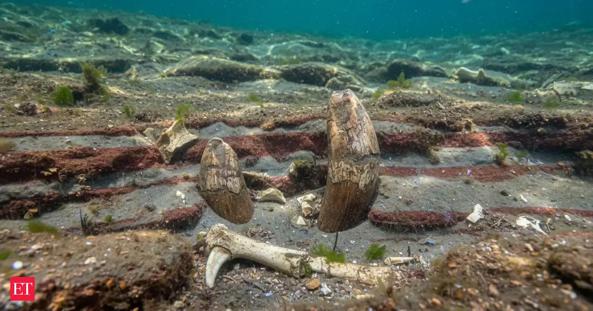 Half a Million Years Underwater: Scientists Discover Rare Ice Age ...