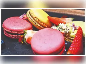National Macaron Day March 20: Food of the Day: National Macaron Day ...