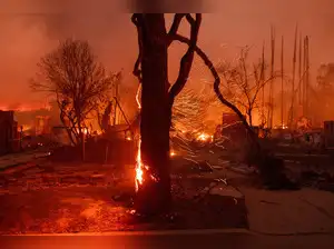 red flag (fire weather) warning: What is a Red Flag Warning? Meaning ...