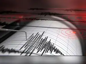 Indonesia earthquake: Earthquake of magnitude 7.4 jolts Indonesia ...